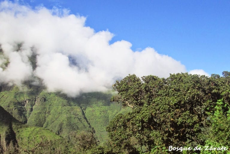 Top 6 Hikes in Lima - Journey Machu Picchu